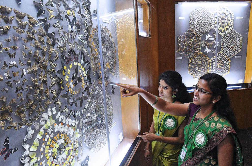 Insect Museum | TNPSC Thervupettagam